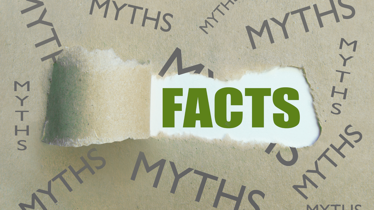 Rethinking Common Myths in Customer Experience | The Verde Group